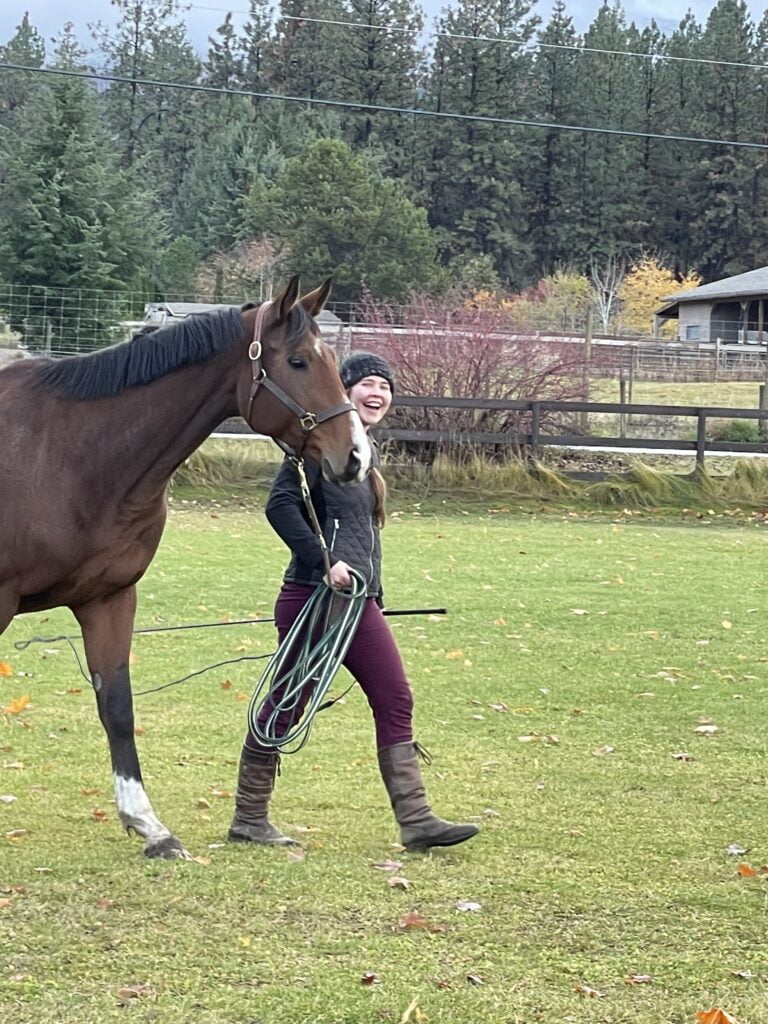 What to Expect: Ambulatory - Okanagan Equine Veterinary Services